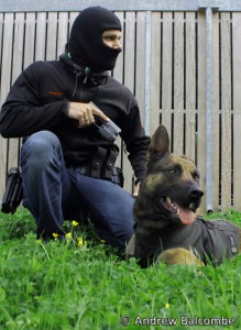 Training exercise BSB (Brigade Speciale Beveiligingsopdrachten) - Dutch ...