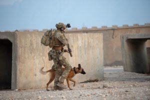 Unieke band tussen handler en zijn Multi-Purpose Combat Dog - Dutch ...