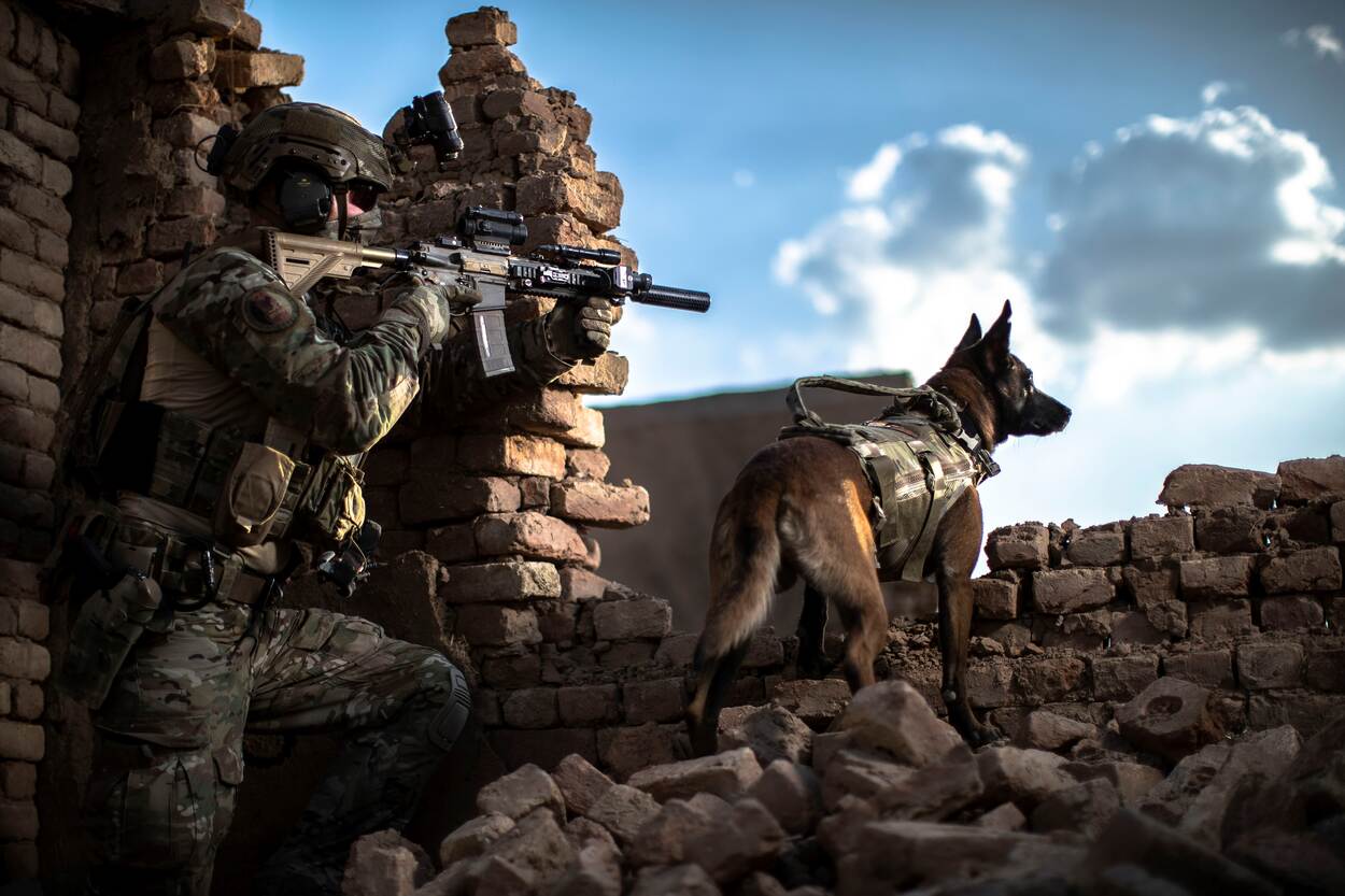 Unieke band tussen handler en zijn Multi-Purpose Combat Dog - Dutch ...
