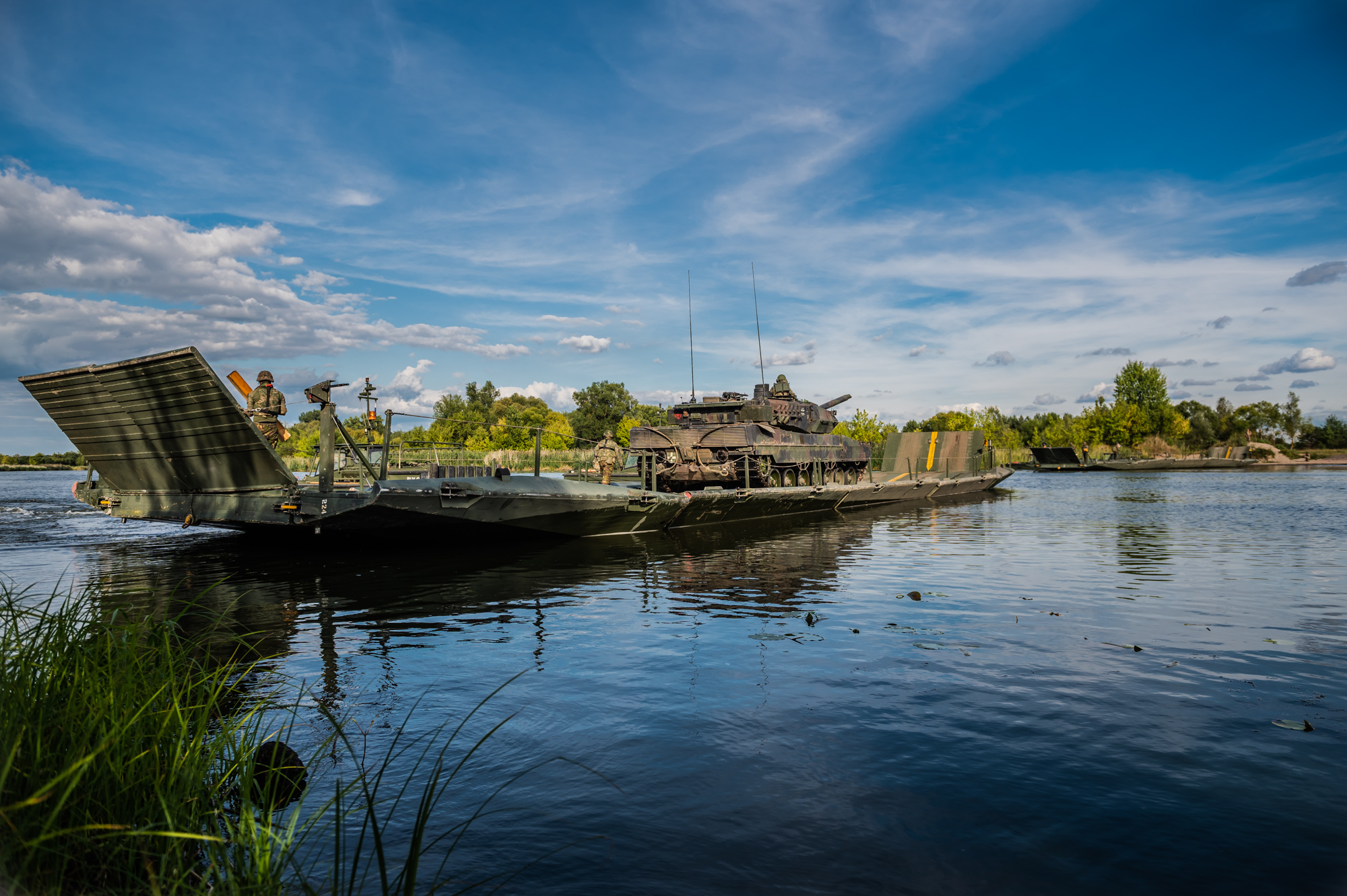 Vigorous Bison - Dutch Defence Press